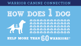 Warrior Canine Connection – Training Service Dogs for Veterans
