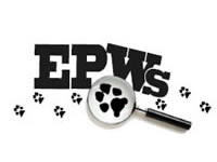 Warrior Canine Connection – Training Service Dogs for Veterans