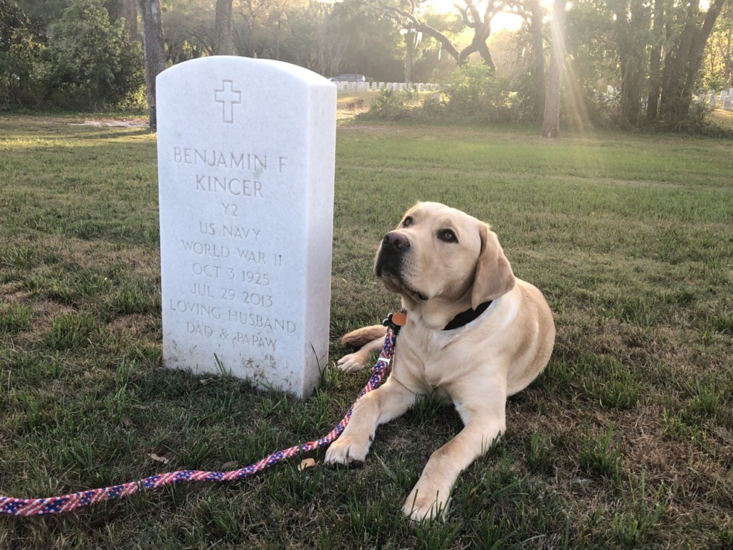 Every Name Has a Story - Warrior Canine Connection