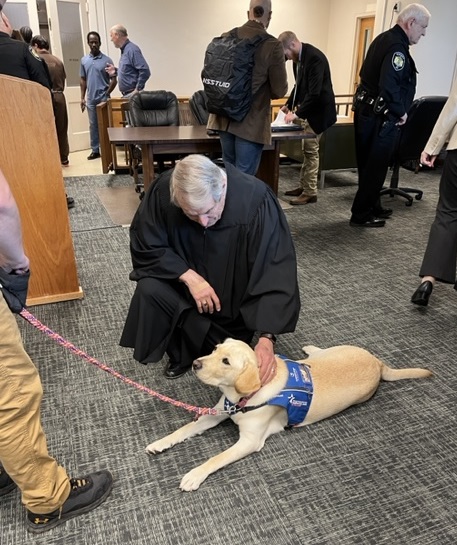 Warrior Canine Connection’s Innovative Service Dog Training Program ...