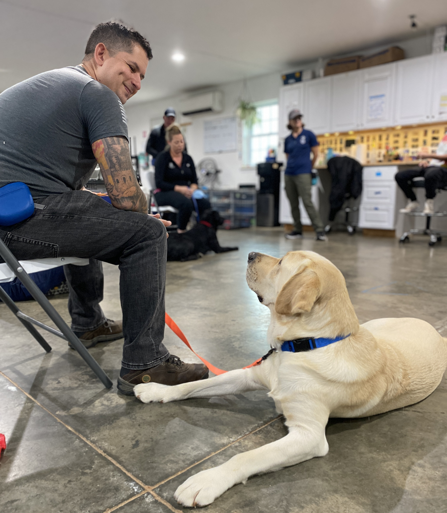 Healing Through Dogs: WCC's MBTR Program - Warrior Canine Connection