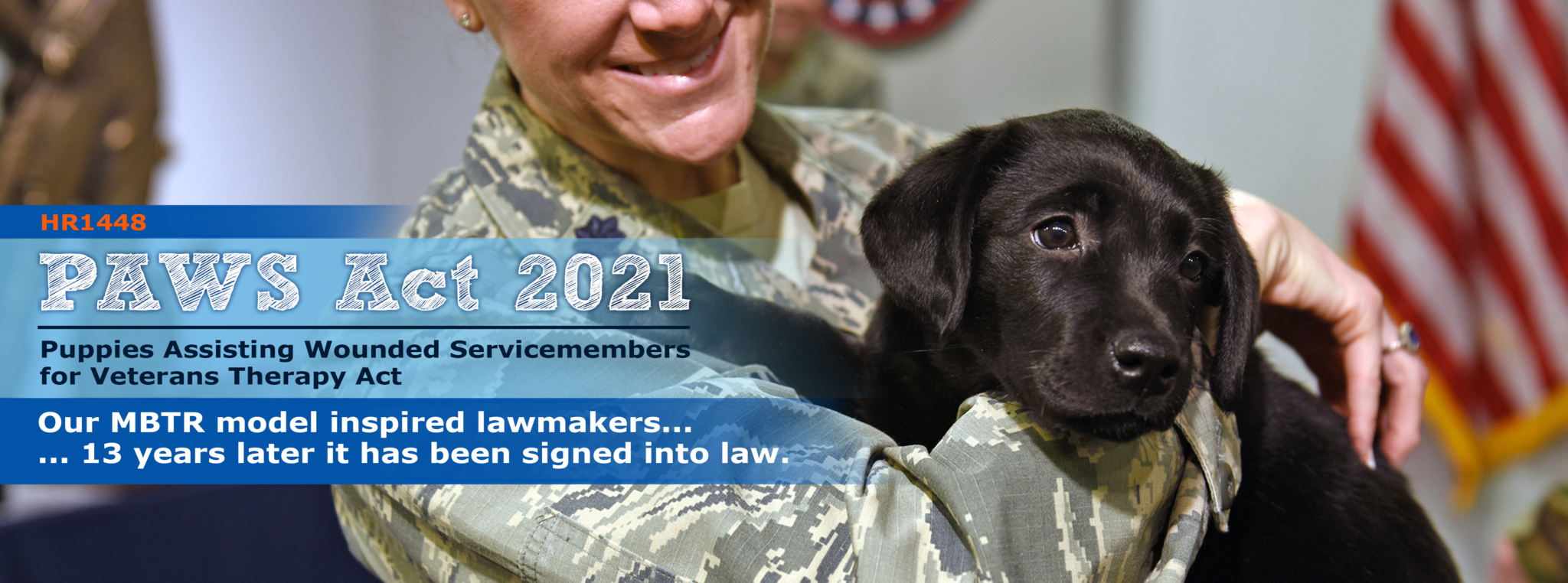 Home - Warrior Canine Connection