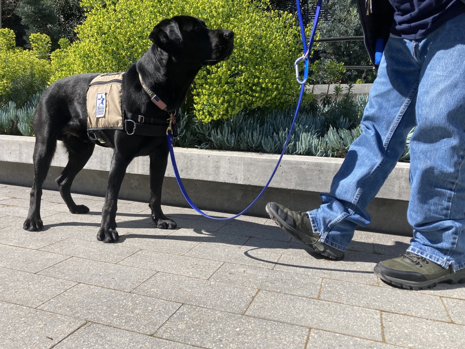 Veteran Service Organizations Team Up to Serve Warriors in the Bay Area ...