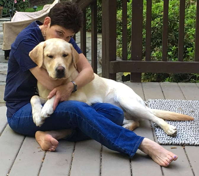 Hearts in Sync: The Bond Between Dogs and Humans - Warrior Canine ...