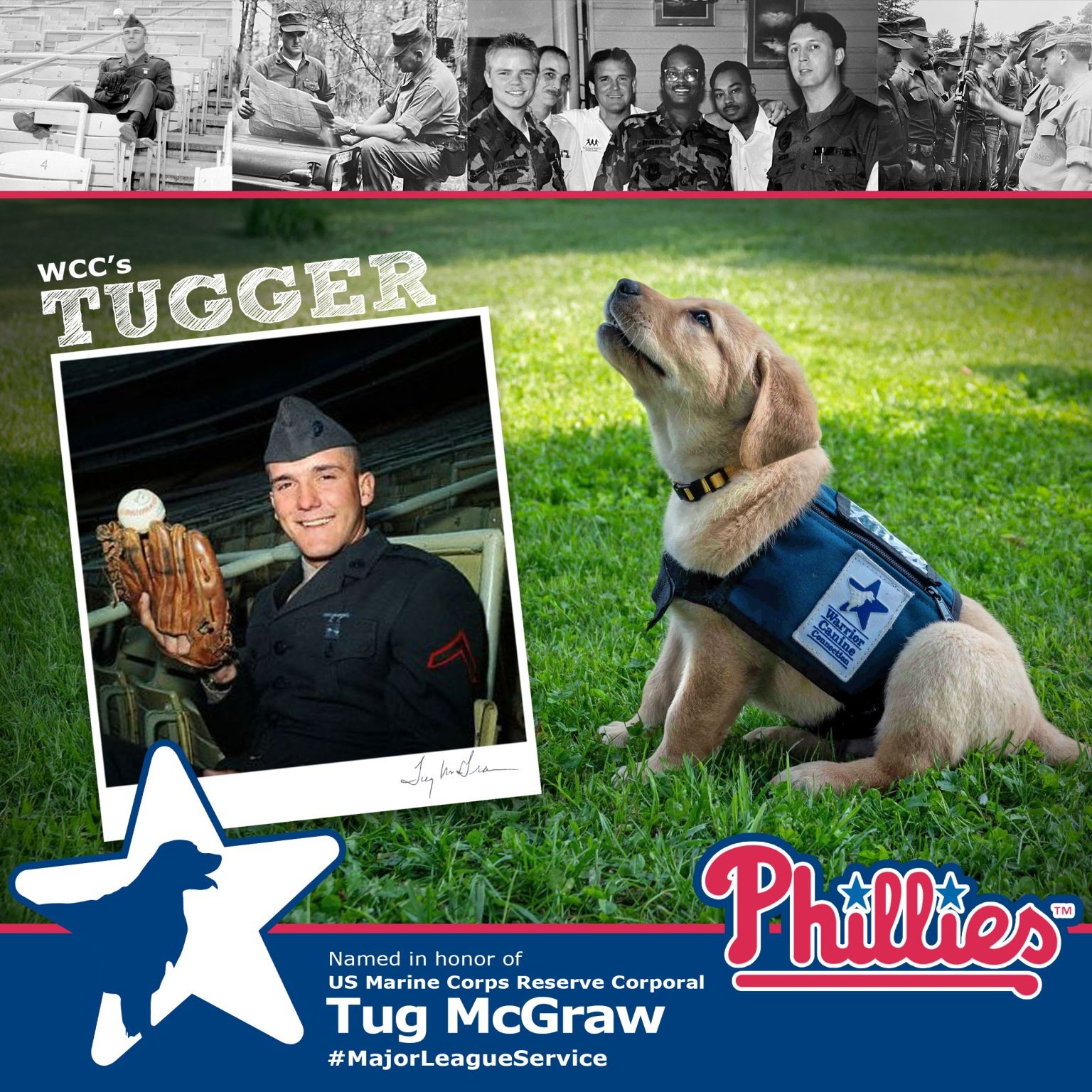 Meet Tugger, the Phillies' Rookie with a Mission - Warrior Canine ...