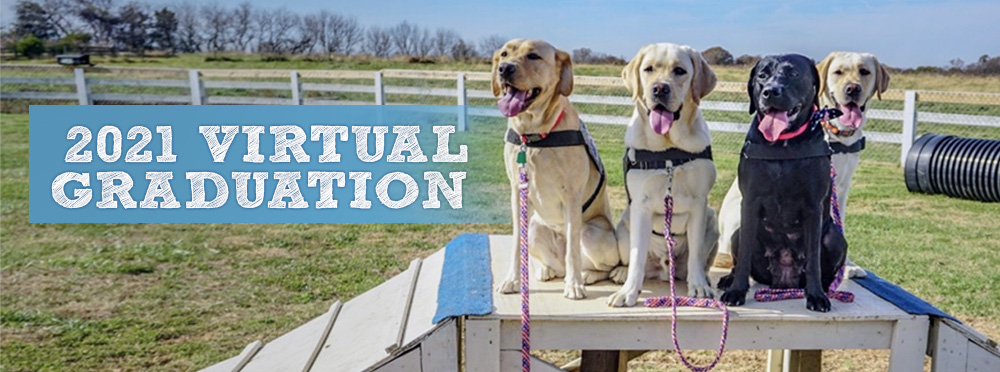 Home - Warrior Canine Connection