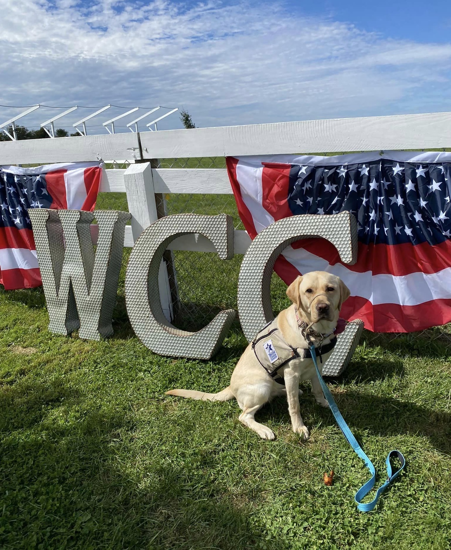 Congratulations to WCC’s Class of 2022! - Warrior Canine Connection