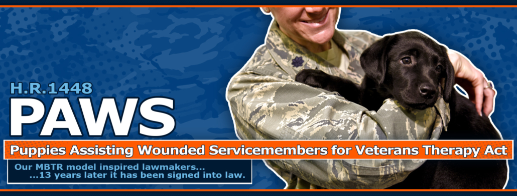 Home - Warrior Canine Connection