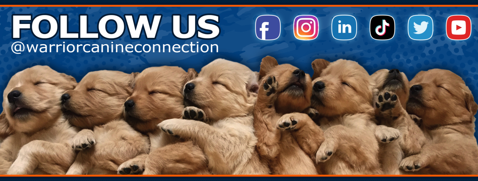 Home - Warrior Canine Connection
