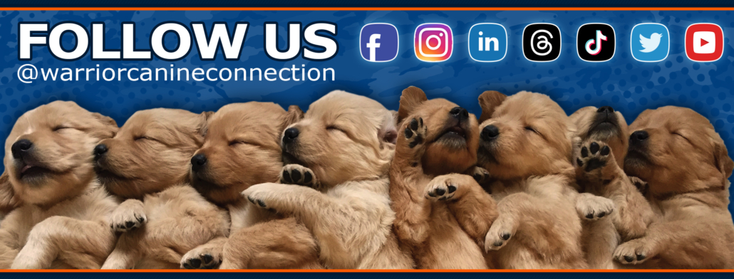 Home - Warrior Canine Connection