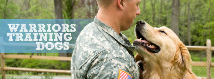 Home - Warrior Canine Connection